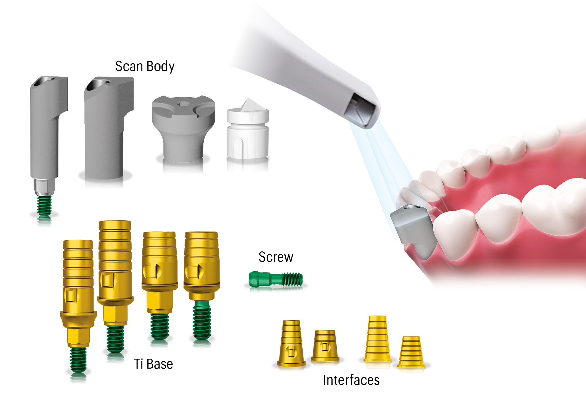 Soluzioni Digitali - JDentalCare